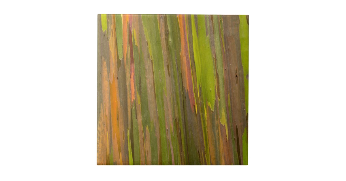 Abstract Of Eucalyptus Bark Ceramic Tile | Zazzle