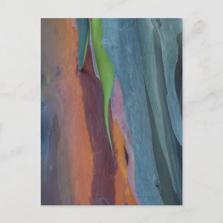 Abstract Of Rainbow Gum Tree Postcard | Zazzle