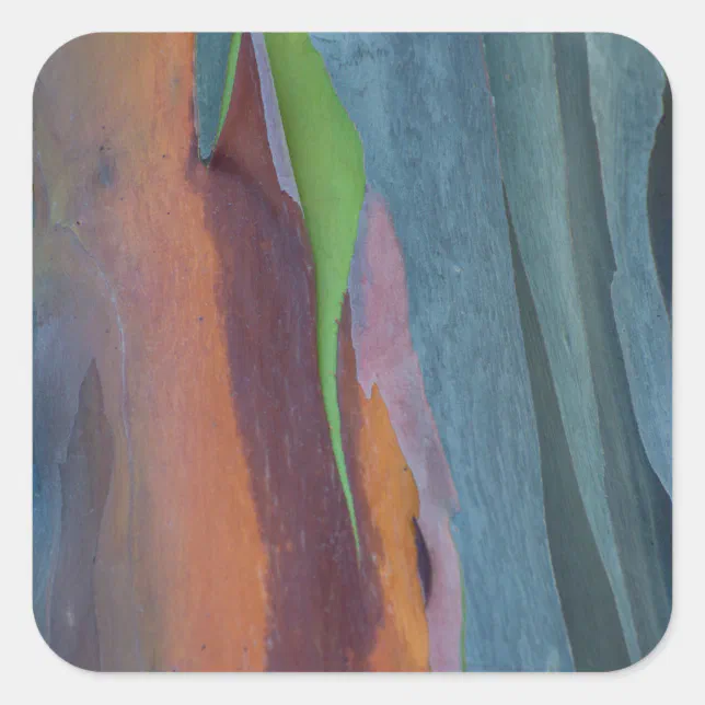 Abstract Of Rainbow Gum Tree Square Sticker | Zazzle