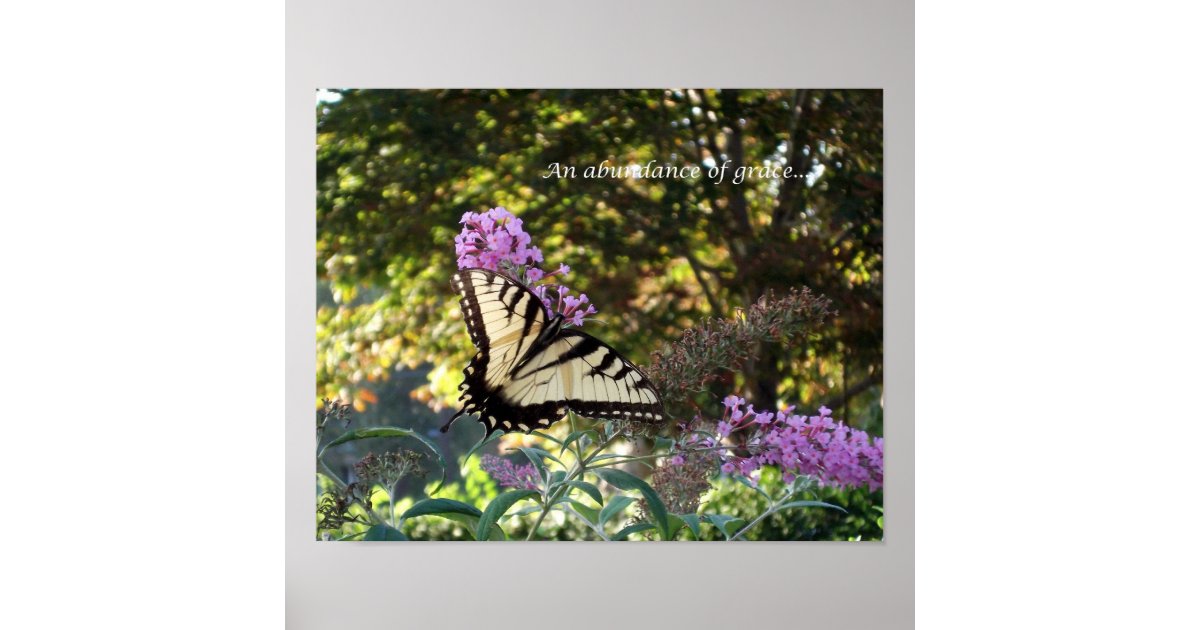 Abundance of grace poster | Zazzle