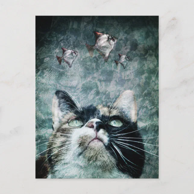 Abyss cat Postcard | Zazzle