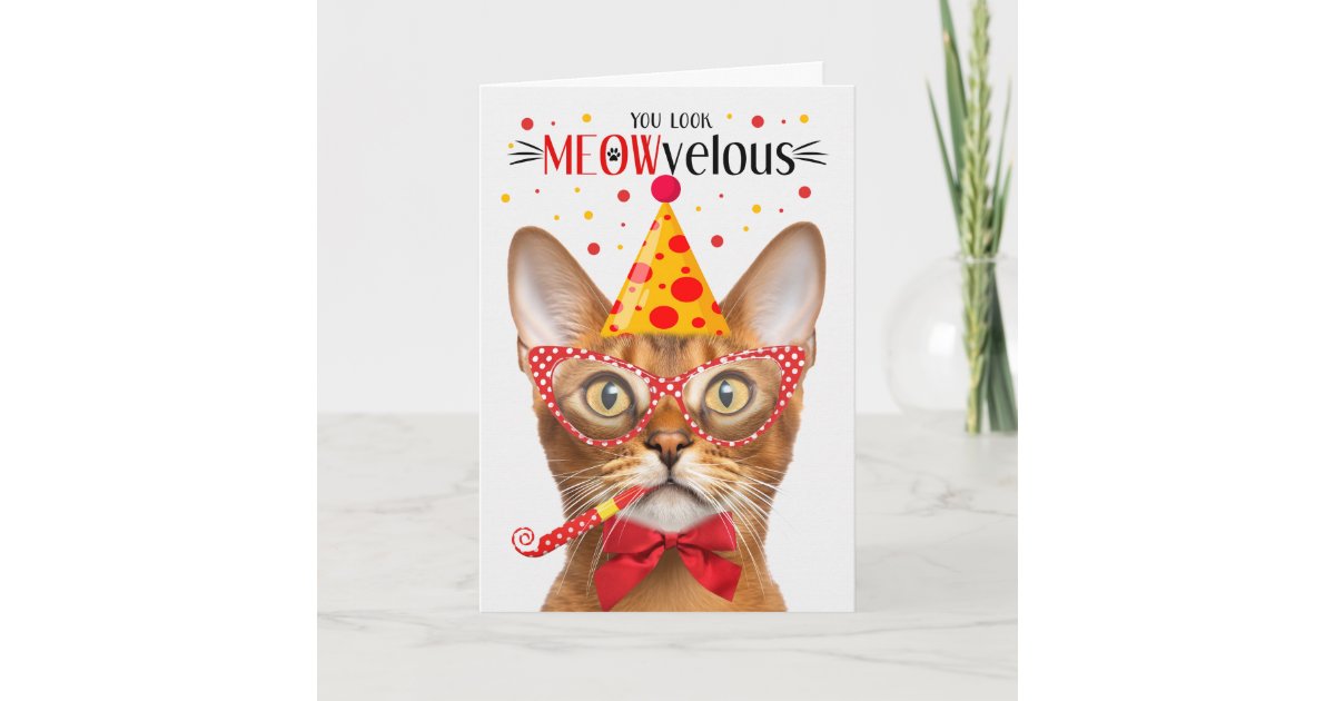 Abyssinian Cat MEOWvelous Birthday Card | Zazzle