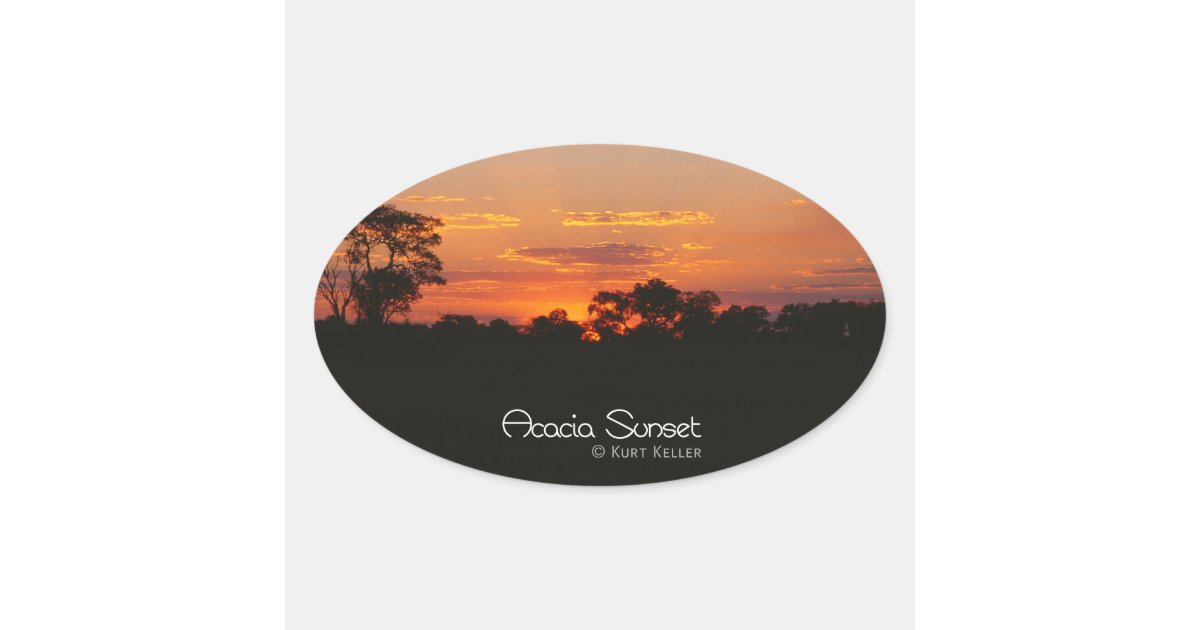 Acacia Sunset Oval Sticker | Zazzle