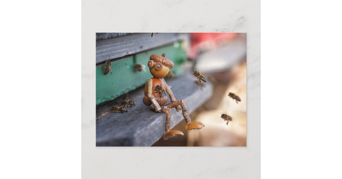 Acorn elf bee-keeper spring postcard | Zazzle