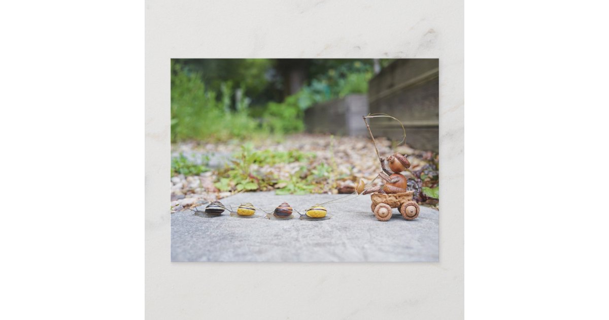 Acorn elf rides in a cart pulled by snails postcard | Zazzle
