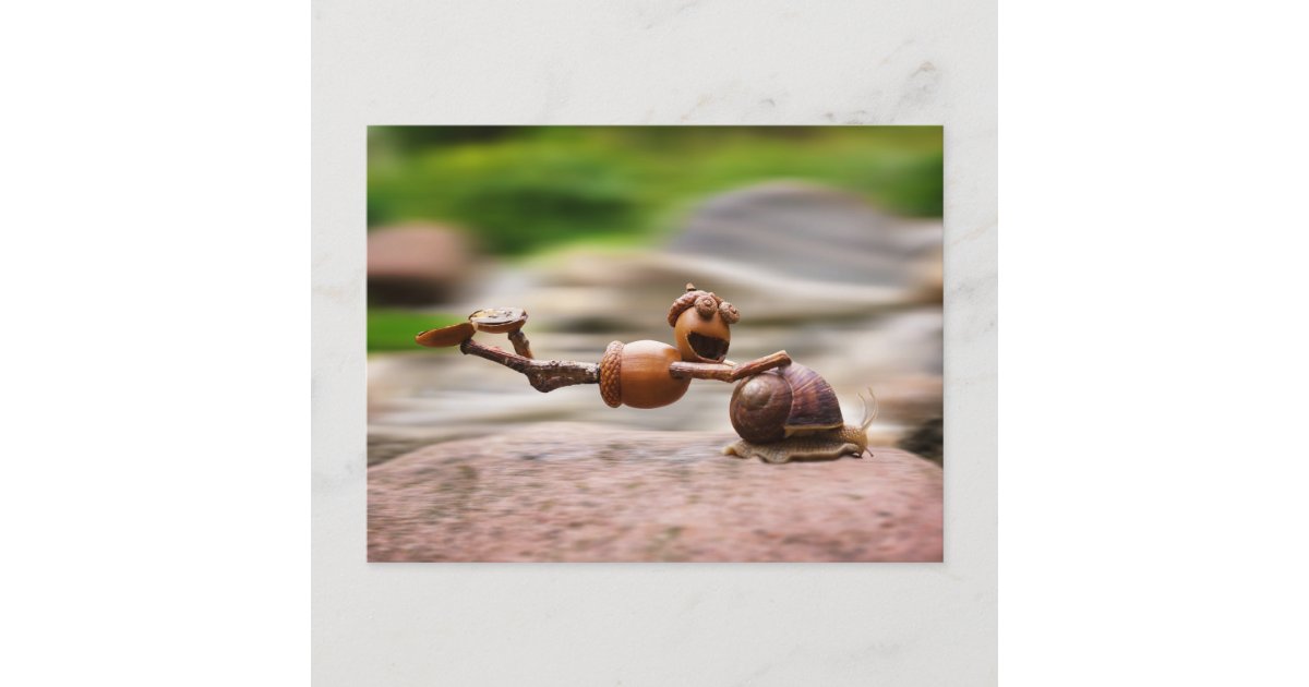 Acorn elf riding on the snail postcard | Zazzle