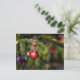Acorn elves on the Christmas decoration Christmas Postcard | Zazzle