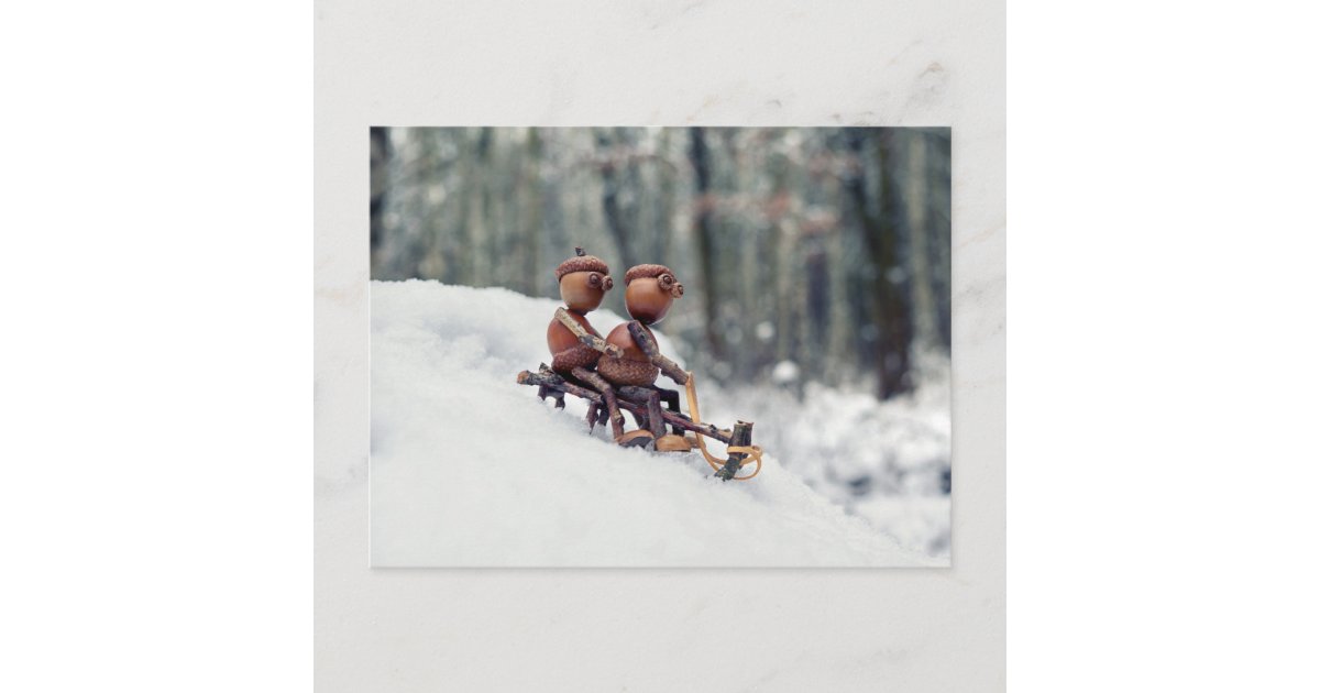 Acorn elves ride on sleigh winter postcard | Zazzle