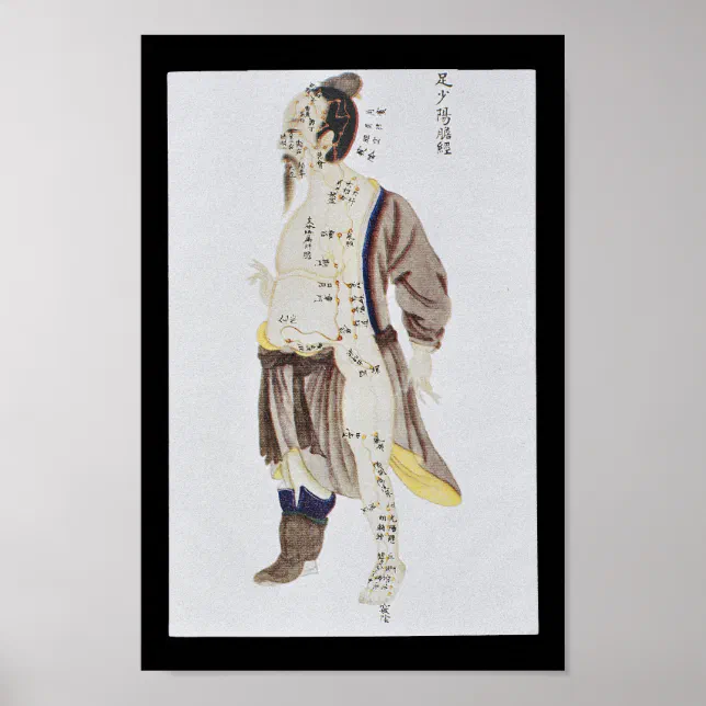 Acupuncture Gall Bladder Meridian Foot Shaoyang Poster | Zazzle