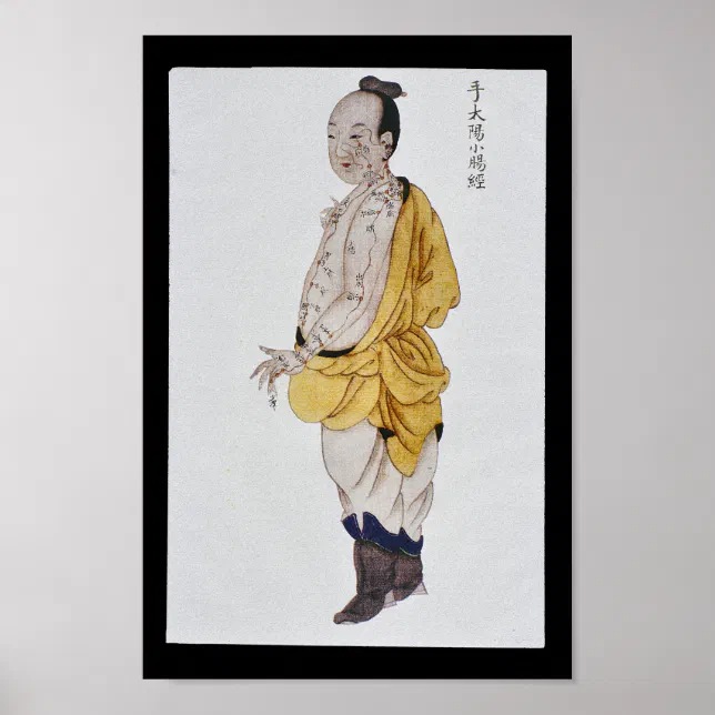 Acupuncture Small Intestine Meridian Hand Taiyang Poster | Zazzle