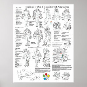 Acupuncture Posters & Prints | Zazzle