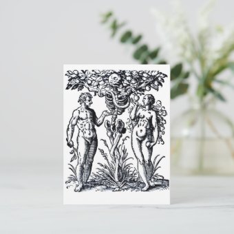 Adam and Eve and the Tree of Knowledge Postcard | Zazzle