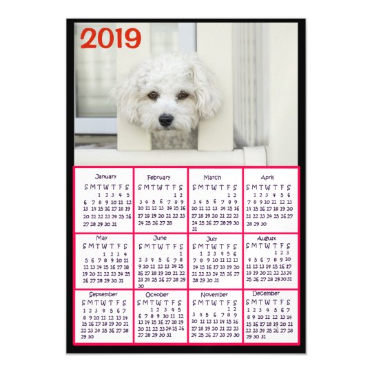 Add a Photo to this Red 2019 Calendar Magnetic Invitation | Zazzle.com
