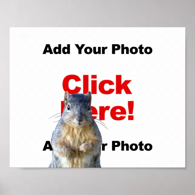 Add A Squirrel Custom Photo Poster | Zazzle