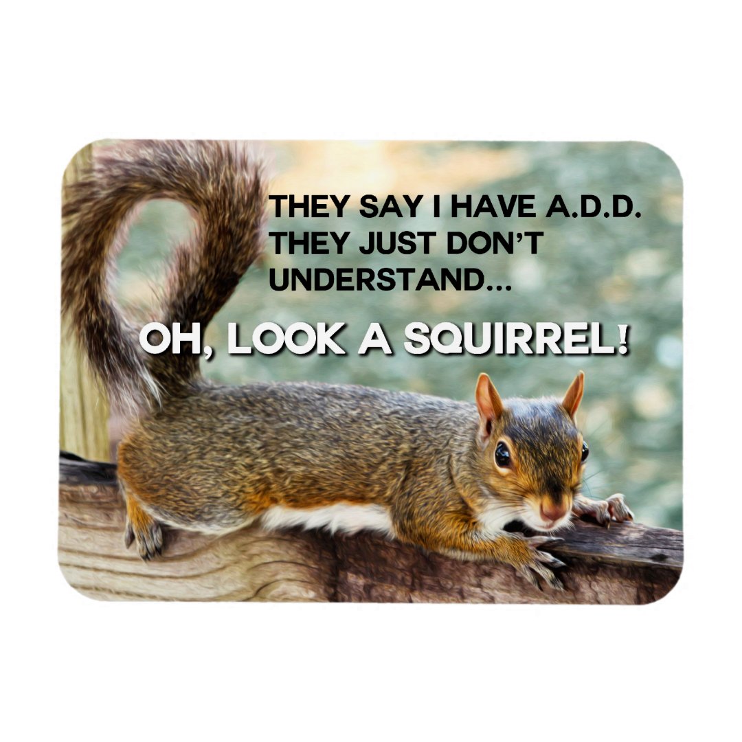 ADD Squirrel Photo Magnet | Zazzle