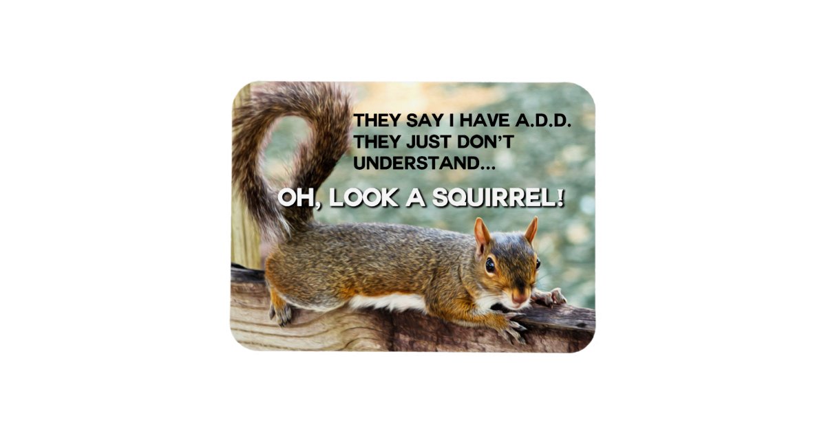 ADD Squirrel Photo Magnet | Zazzle
