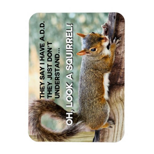 ADD Squirrel Photo Magnet | Zazzle