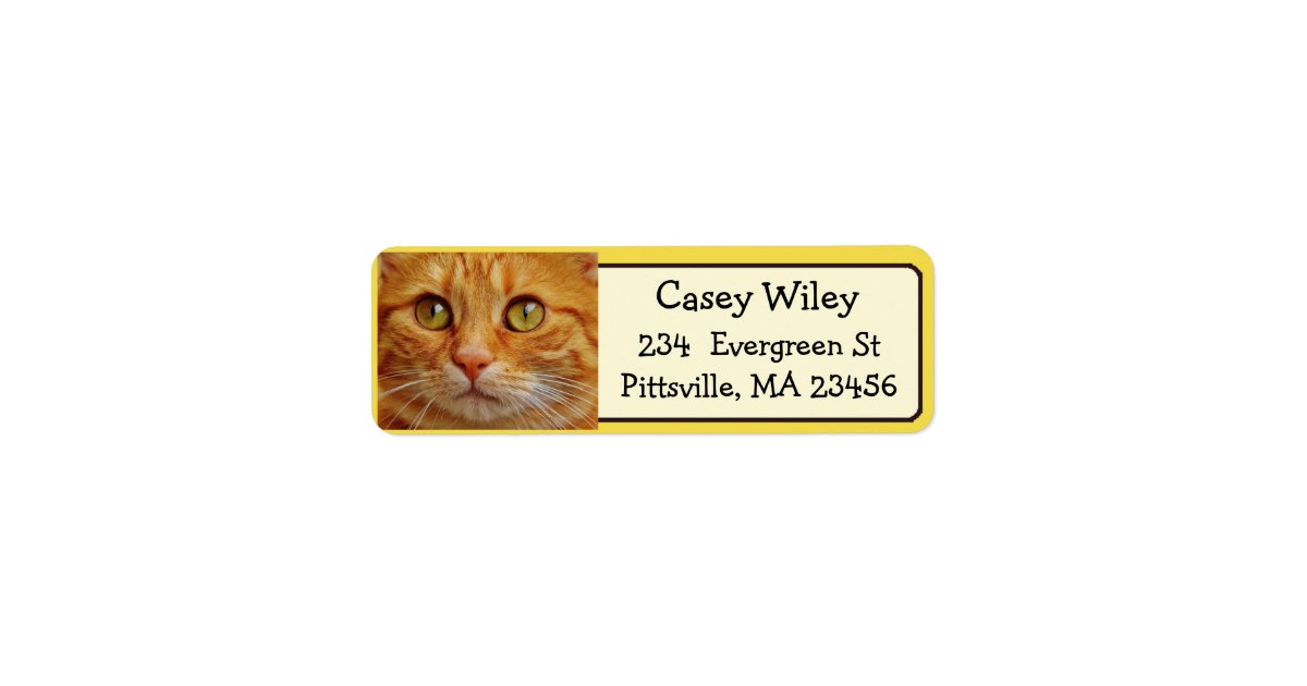 Add your Cat's Photo to this Address Label | Zazzle