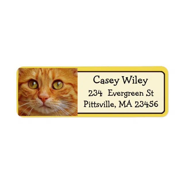 Add your Cat's Photo to this Address Label | Zazzle