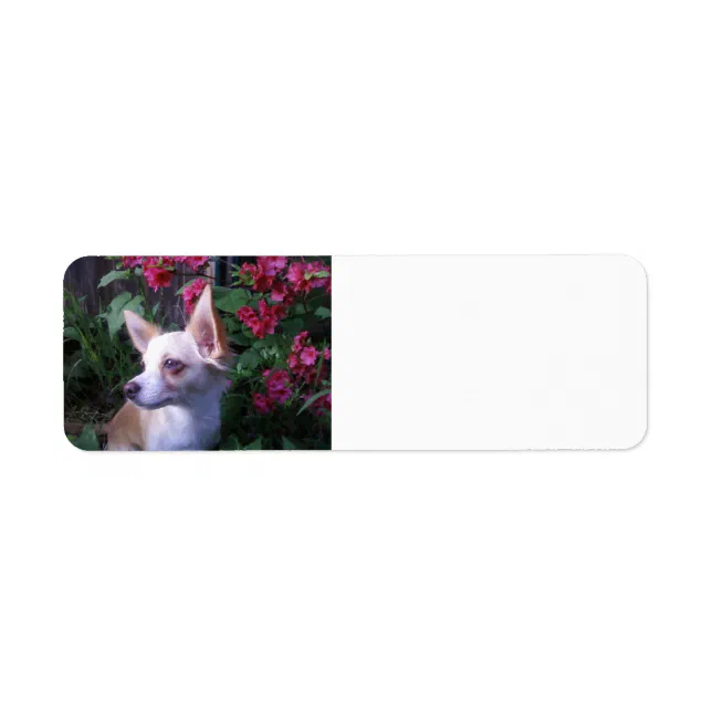 "Add Your Own Photo" Label | Zazzle