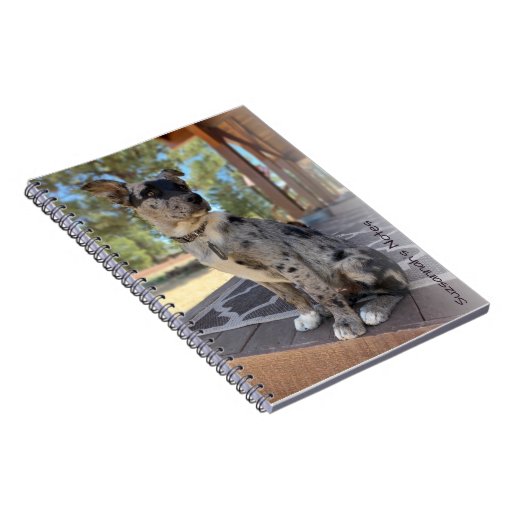 Add Your Photo Adorable Cattle Dog Placeholder Notebook | Zazzle