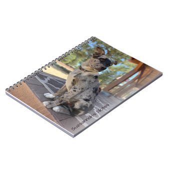 Add Your Photo Adorable Cattle Dog Placeholder Notebook | Zazzle