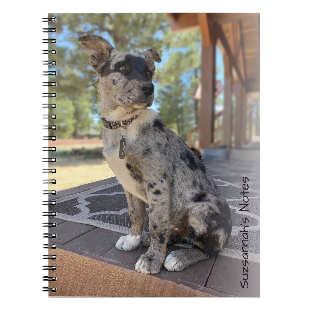 Add Your Photo Adorable Cattle Dog Placeholder Notebook | Zazzle