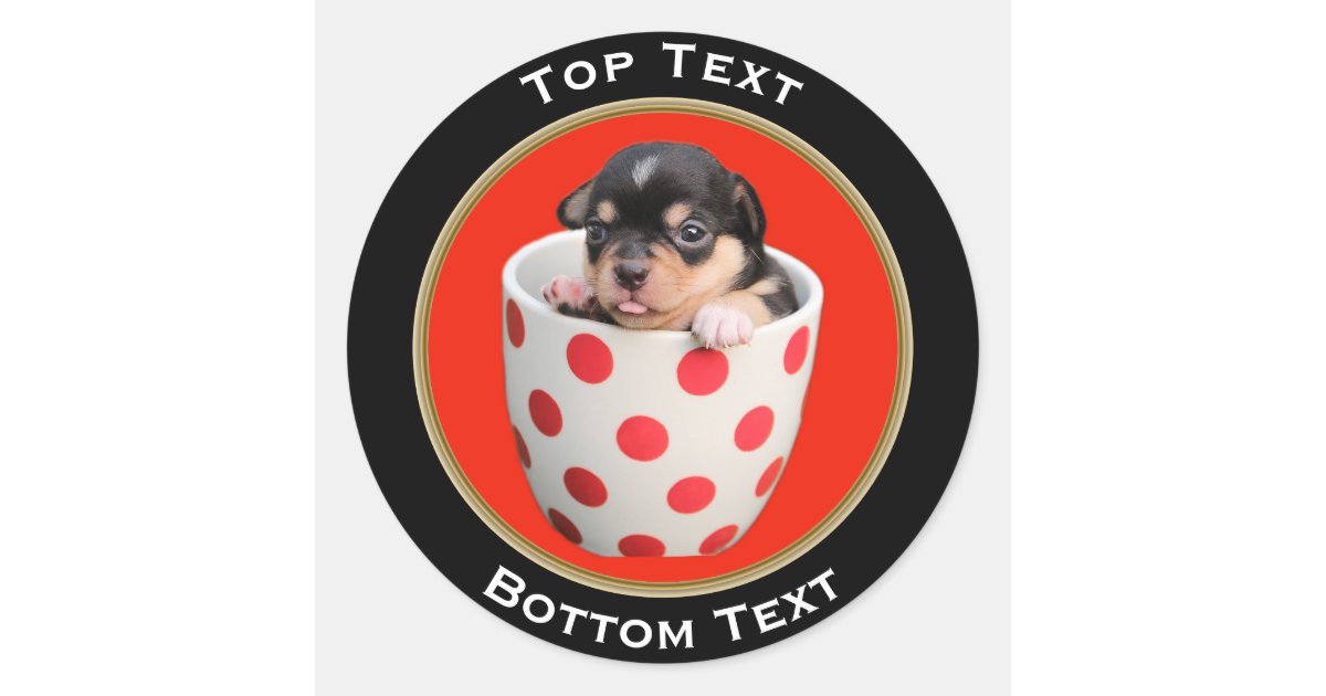 Add Your Photo and Text Custom Classic Round Sticker | Zazzle