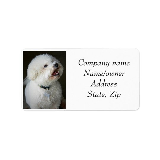 Address labels Bichon Frise | Zazzle.com