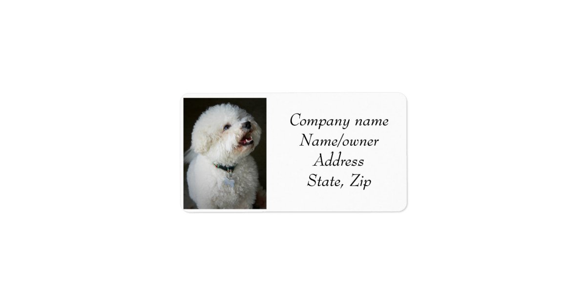 Address labels Bichon Frise | Zazzle