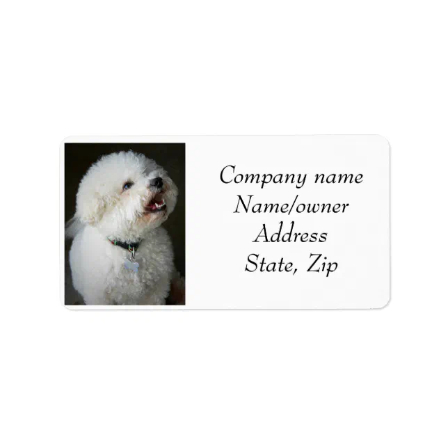 Address labels Bichon Frise | Zazzle