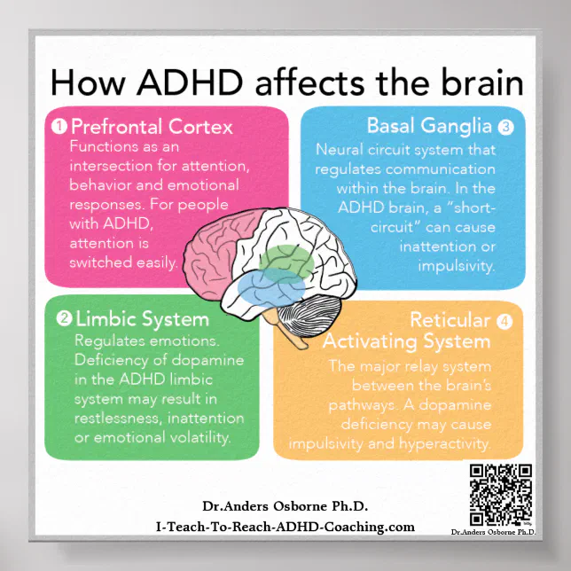 ADHD Brain* Poster | Zazzle