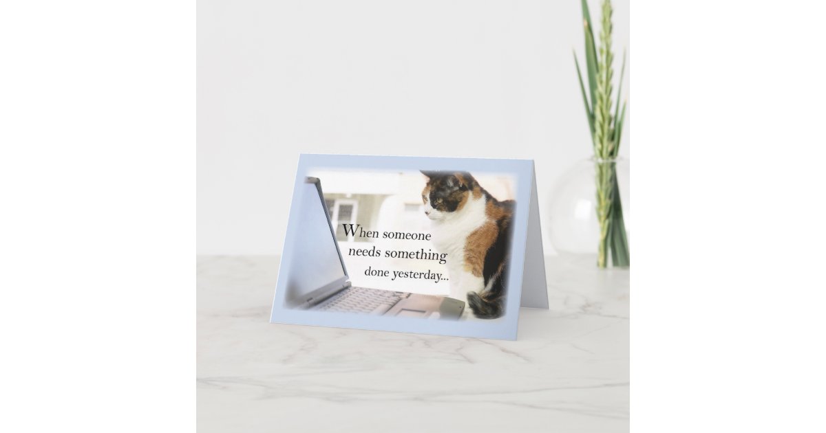 Admin Pro Cat Computer, Humor Card | Zazzle
