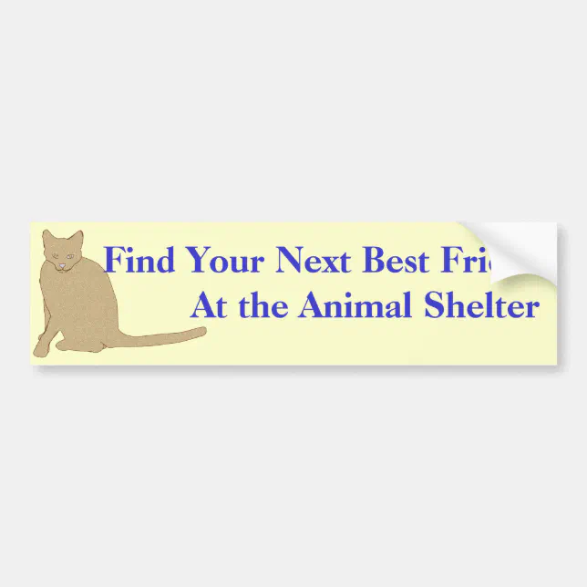 Adopt A Friend Bumper Sticker 1 | Zazzle