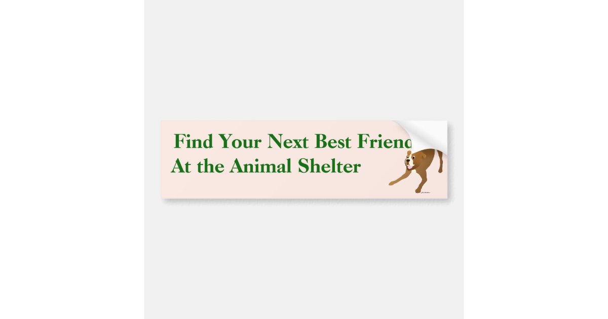 Adopt A Friend Bumper Sticker 17 | Zazzle