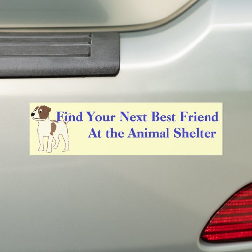 Adopt A Friend Bumper Sticker 18 | Zazzle