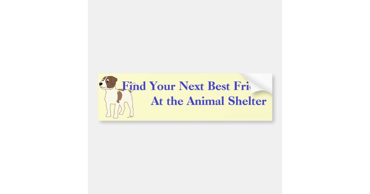 Adopt A Friend Bumper Sticker 18 | Zazzle