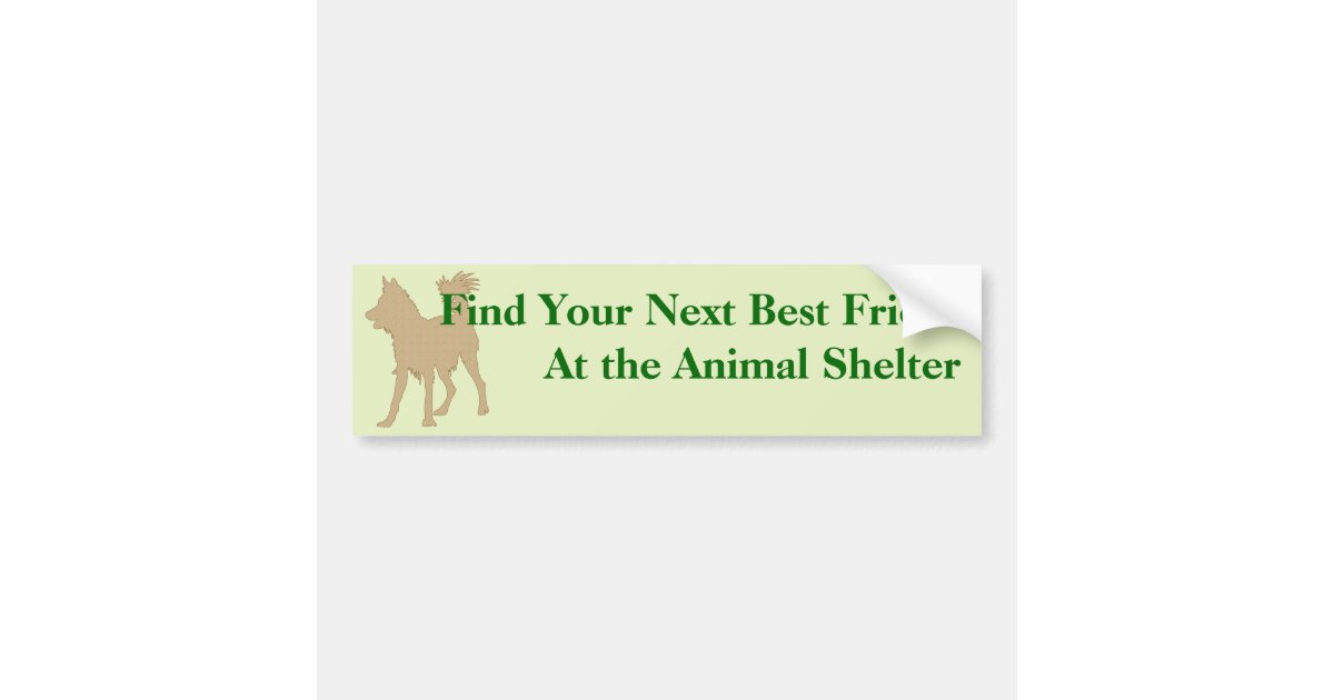 Adopt A Friend Bumper Sticker 6 | Zazzle