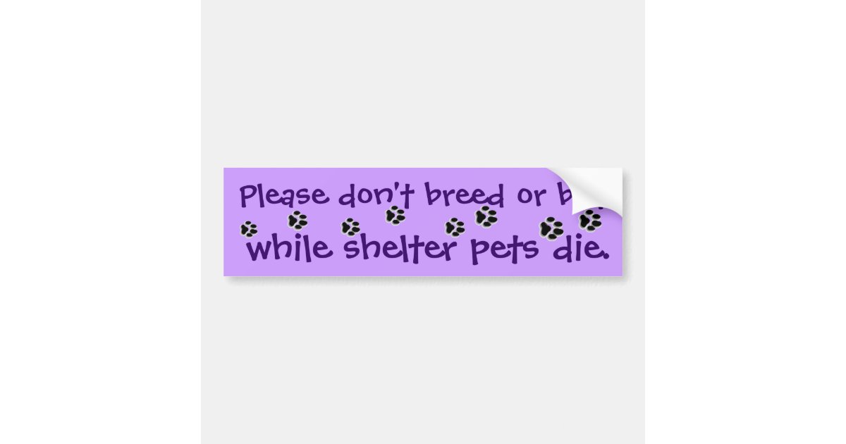 Adopt homeless animals bumper sticker | Zazzle