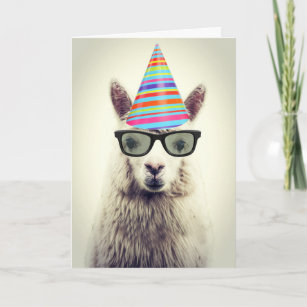 Alpaca Birthday Cards | Zazzle
