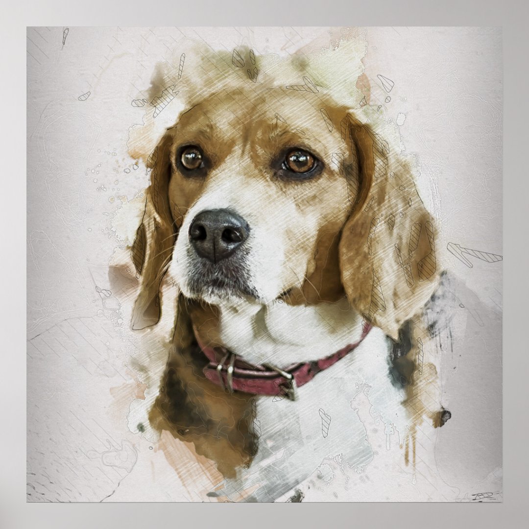 Adorable beagle portrait poster | Zazzle