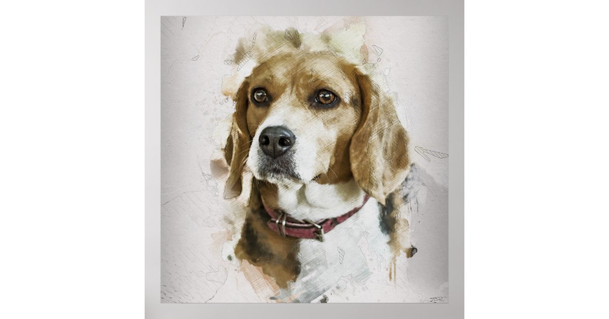 Adorable beagle portrait poster | Zazzle