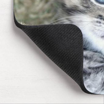 Adorable Blue-Eyed Silver Tabby Kitten Mousepad | Zazzle
