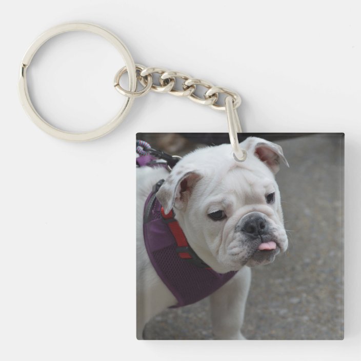 Adorable Bulldog Keychain | Zazzle.com