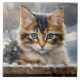 Adorable Calico Cat in the Snow Portrait Pose Ceramic Tile | Zazzle