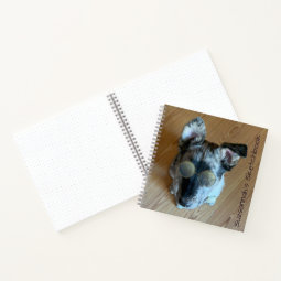 Adorable Cattle Dog Placeholder Photo Custom Notebook | Zazzle