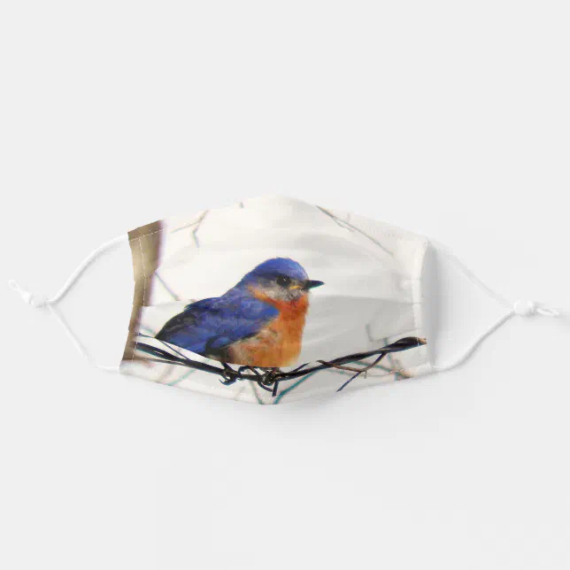 Adorable Cheerful Eastern Bluebird Adult Cloth Face Mask | Zazzle