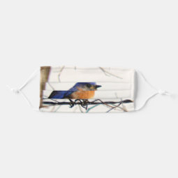 Adorable Cheerful Eastern Bluebird Adult Cloth Face Mask | Zazzle