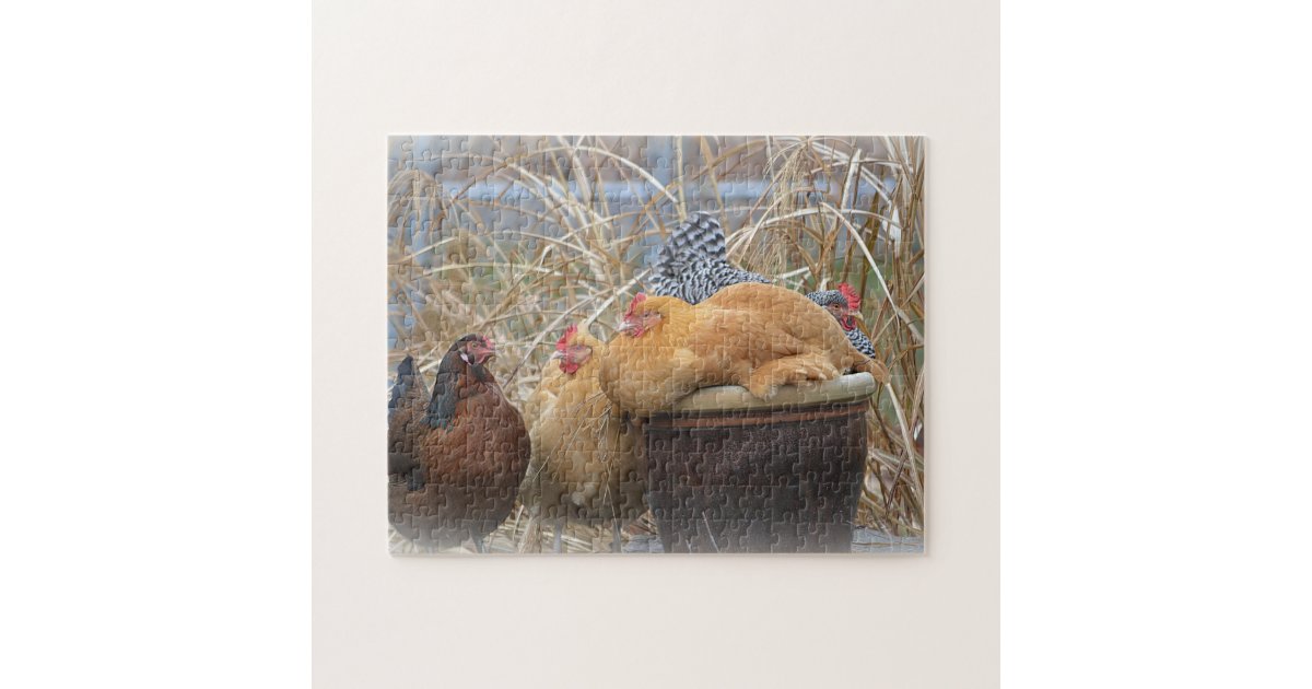 Adorable Chicken Puzzle | Zazzle