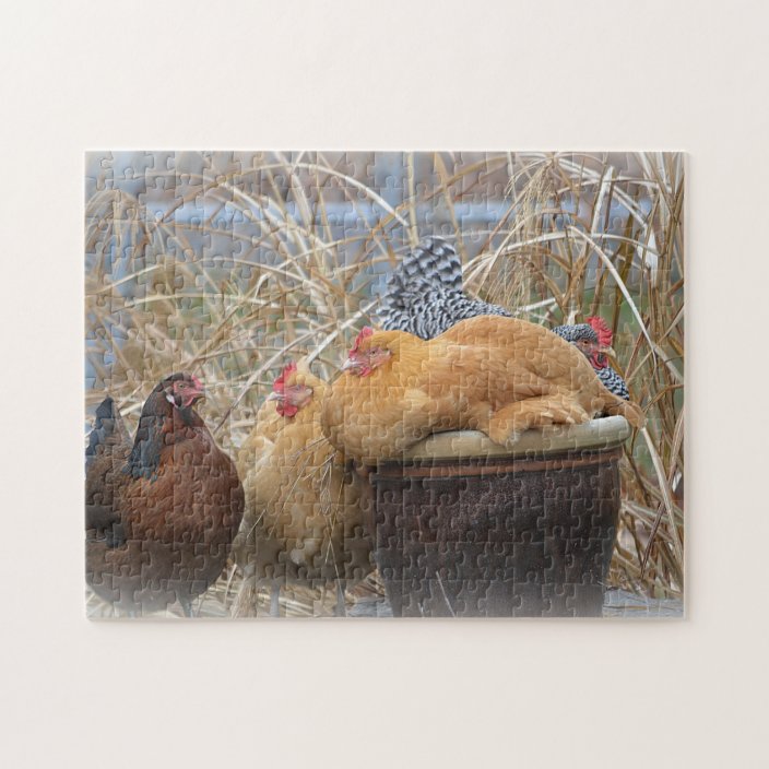 Adorable Chicken Puzzle | Zazzle.com